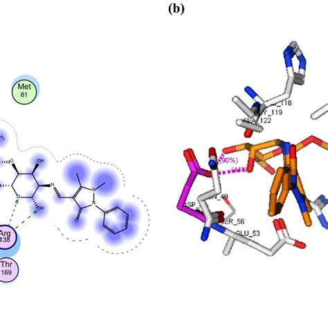 A 2d Binding Interaction And B 3d Brown Stick Binding Mode Of Cs Apc Download Scientific