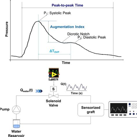 Pulse Waveform Signal And Measurement Set Up A A Typical Shape Of Download Scientific