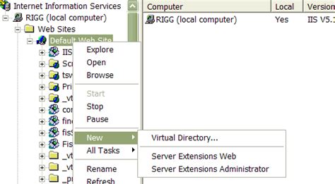Making An Iis Virtual Directory For Findinsite Ms