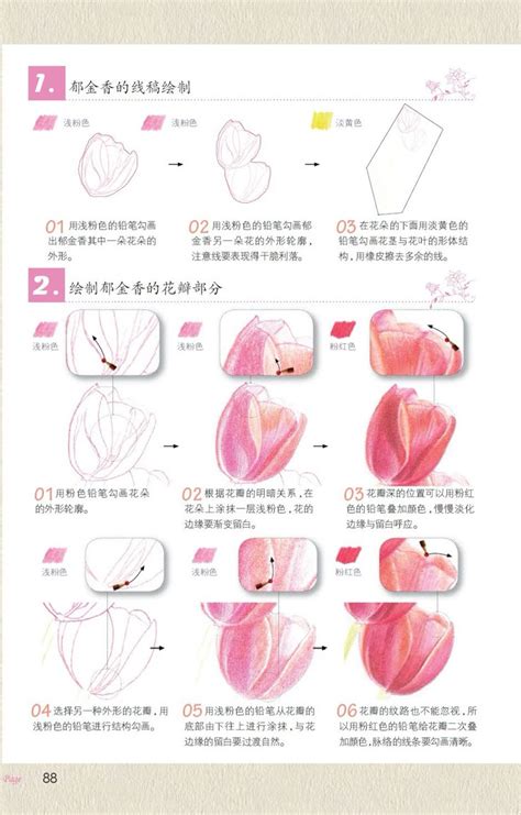 How To Draw Tulips With Colored Pencils