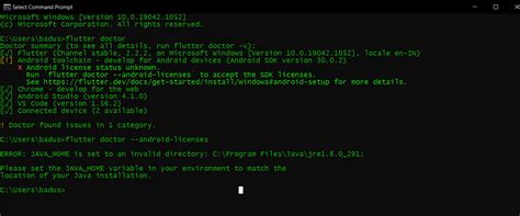Flutter Doctor Android Licenses May Crash If Findjavabinary Selects Javahome Instead Of As