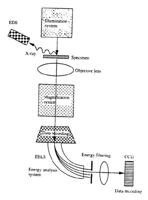 Transmission Electron Microscope Dimensions At Tracy Jacoby Blog