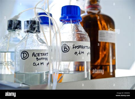 Types Of Bottles In The Laboratory At Elvis Nusbaum Blog