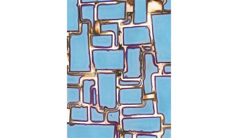 Von Lintel Gallery Los Angeles ····· Alex Hedison