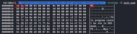 Windows Shellcoding Part 3 Pe File Format Cocomelonc