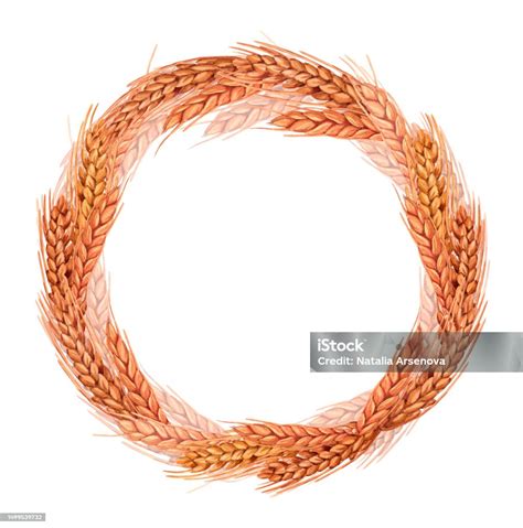 수채화 시리얼 밀 오트밀 보리 클립 아트 보헤미안 결혼식 베이커리 로고 농장 클립아트 빵과 베이커리 라운드 프레임에 대한 밀 화환 클립아트는 흰색 배경에 분리되어 있다