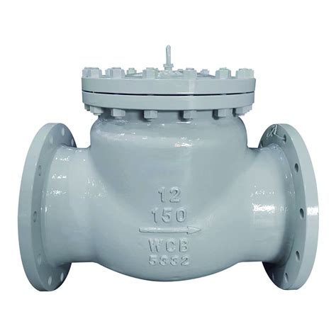 Check Valve Check Valve Shangtie Valve Technology Co Ltd