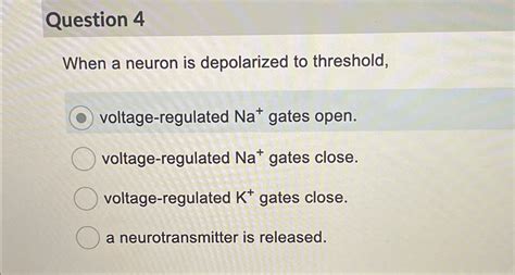 Solved Question 4when A Neuron Is Depolarized To