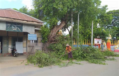 မြစ်သားမြို့နယ်၌ လျှပ်စစ်ဓာတ်အား ပြတ်တောက်မှု လျော့နည်းစေရေး၊ ယာယီဓာတ်အားလိုင်းပိတ်၍ သစ်ပင်၊ သစ