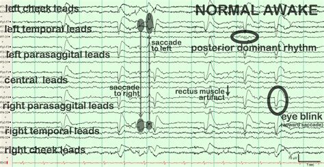 Medsci Cn