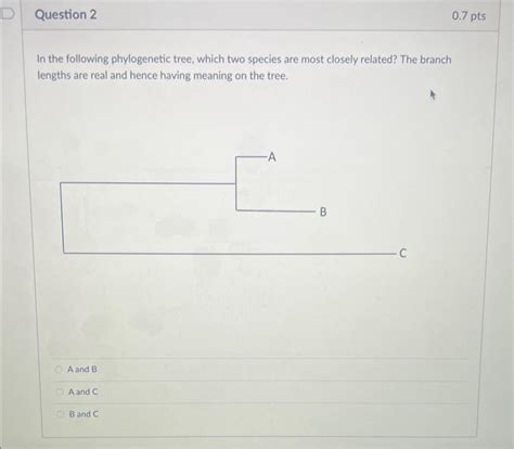 Solved In The Following Phylogenetic Tree Which Two Species