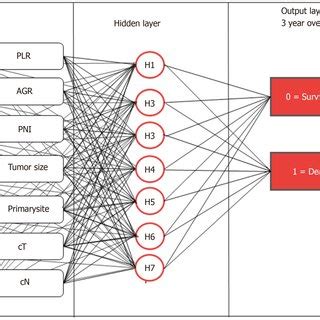 Structure Diagram Of The Preoperative Artificial Neural Network Model Download Scientific