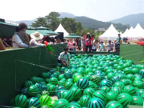 제20회 고창복분자와 수박축제16~18일 선운산도립공원 일원서 개최 파이낸셜뉴스