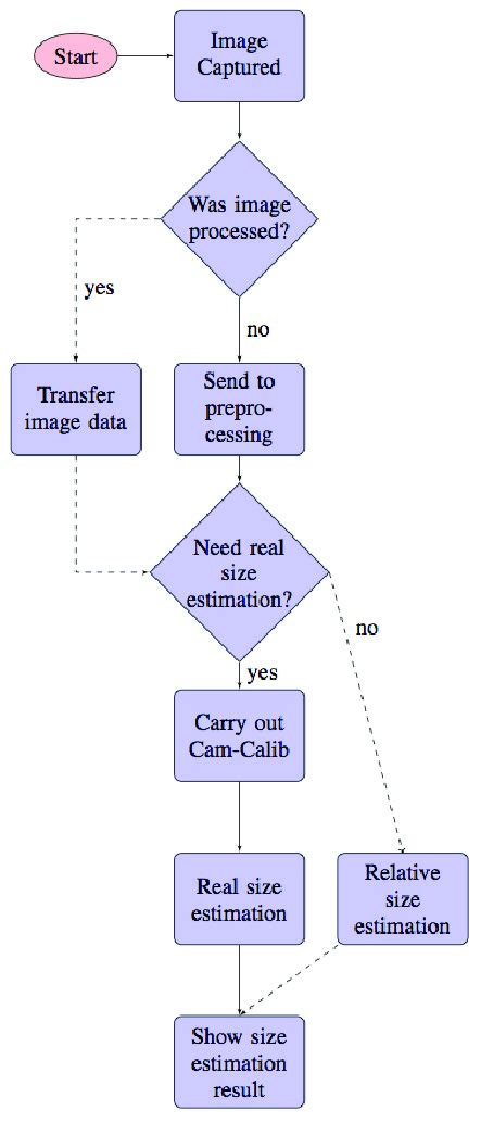 Size Estimation With Segmentation Flow Chart Download Scientific Diagram