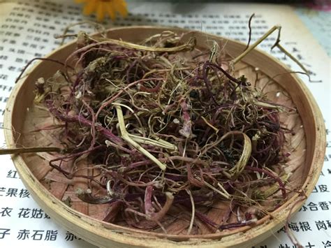 紫菀饮片 图库 五毛网