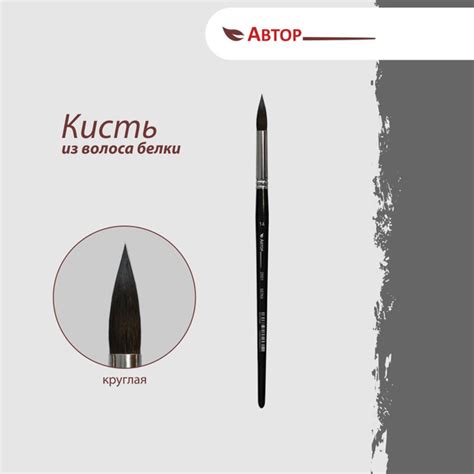 Автор Кисть из волоса белки круглая № 14 7 6 мм художественная профессиональная купить на
