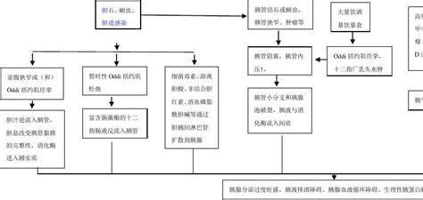 病理生理图怎样画骨折病理生理图 伤感说说吧
