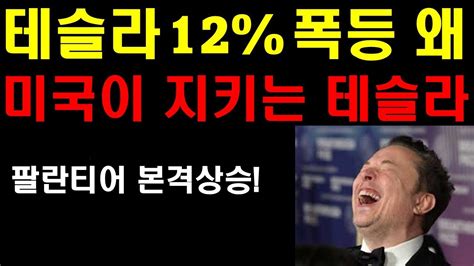 테슬라 12 폭등 이유 대세상승 오나 미국이 지키는 테슬라 팔란티어 엄청난 미래전망 기관들 테슬라 더 사모아라 기대되는 테슬라 이벤트 엔비디아 다시 상승할까