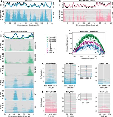 Comprehensive Measurement Of Single Cell Replication Timing Across Cell