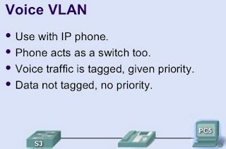 Voice VLAN CCNA Voice Lab