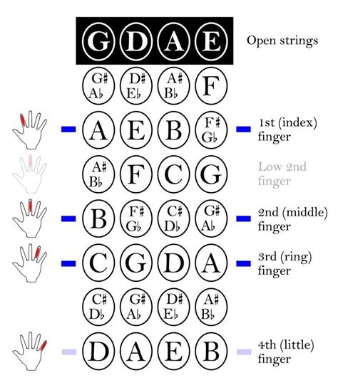 Violin Notes And Finger Placement NewViolinist