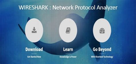 Wireshark Basic Tutorial All About Testing