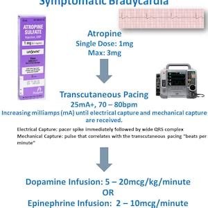 ACLS Algorithm Cheat Sheets Based On AHA 2020 ACLS Updates Algorithms Etsy