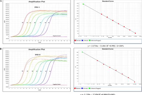 amplification curves and standard curves of the real time qrt pcr assay