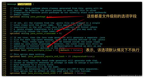 protobuf 介绍与实战34：protobuf fileoptions 文件级别 选项介绍 protobuf options文件 csdn博客