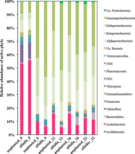 Relative Proportion Mean N 4 Of Dominant Active Bacterial Phyla Download Scientific