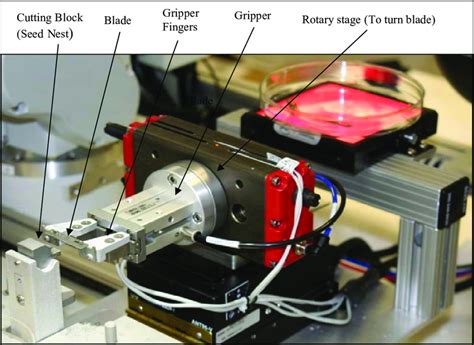 Image Detailing The Components Of The Soybean Seed Cutter Download