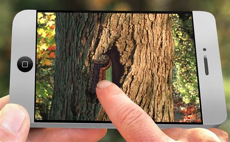 Tree Explorer Encyclopedia Pictura