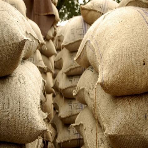 Increase Indian Wheat Export Quota Nepal Flour Industry Chinimandi