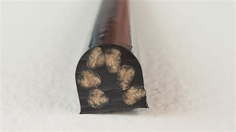 Hemp Rebar Could Offer Low Cost Non Corroding Alternative To Steel