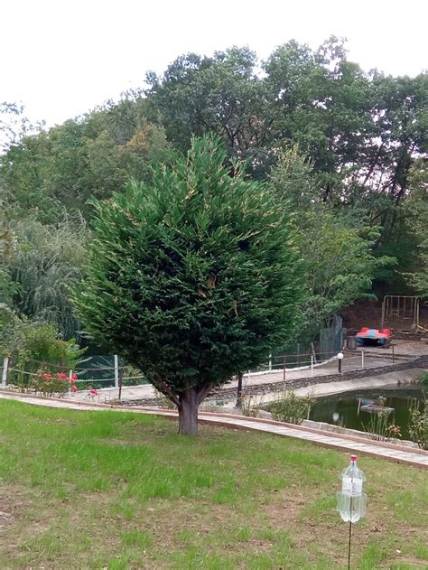 Вила Горски кът село Солник Община Долни чифлик