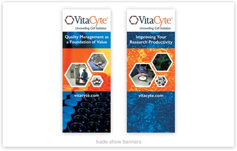 Vitacyte • Mediumfusion Creative Group