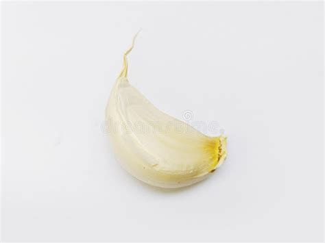 Single Garlic Clove Isolated On White Clean Minimalist Style Stock