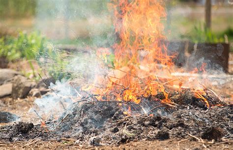 Open Burning Horry County Scgov