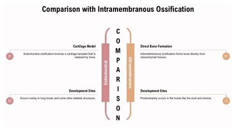 Comparison With Intramembranous Ossification Ppt Demonstration Acp Ppt Example