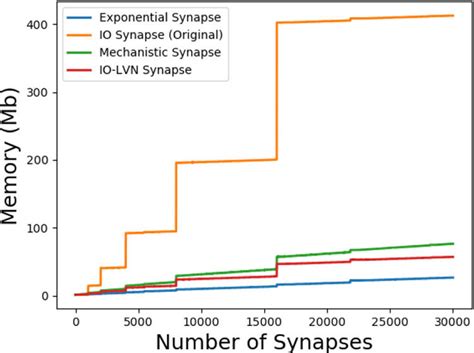 Memory Requirements For Different Synapse Types In A Large Scale Neuron
