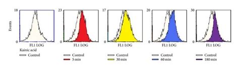 Comparison Of Intracellular Reactive Oxygen Species Ros Measured By Download Scientific