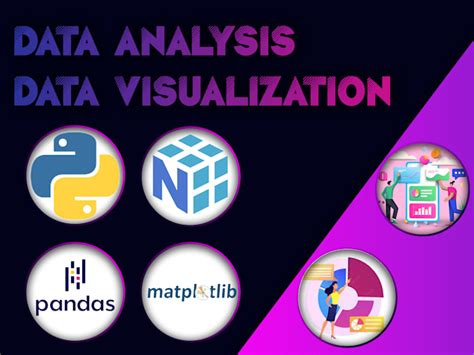 Do Data Analysis And Data Visualization In Python By Yasminasol Fiverr