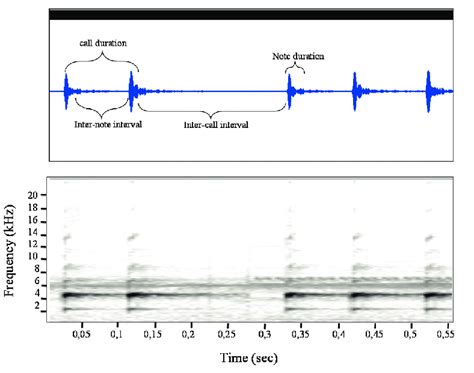 Oscillogram Above And Sound Spectrogram Below Of Two Advertisement