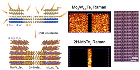 One Step Synthesis Of Two Dimensional Metal Semiconductor Circuitry Based On W Triggered Spatial