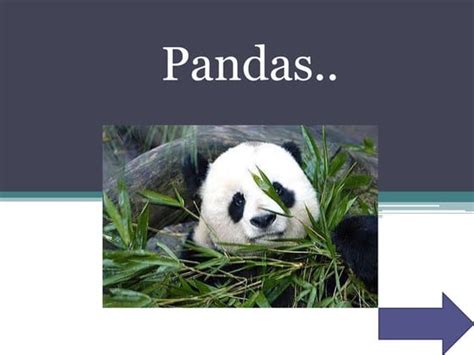 List Of Regular Irregular Verbs Pdf Food And Drink