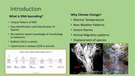 B Dna Barcoding Presentationpptx