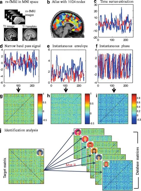 Flowchart Of The Construction Of Functional Connectome And Download Scientific Diagram