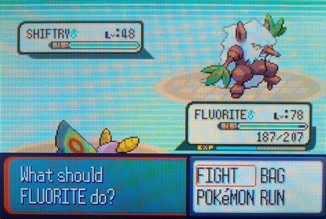 Ruby And Sapphire Pokemon Couple