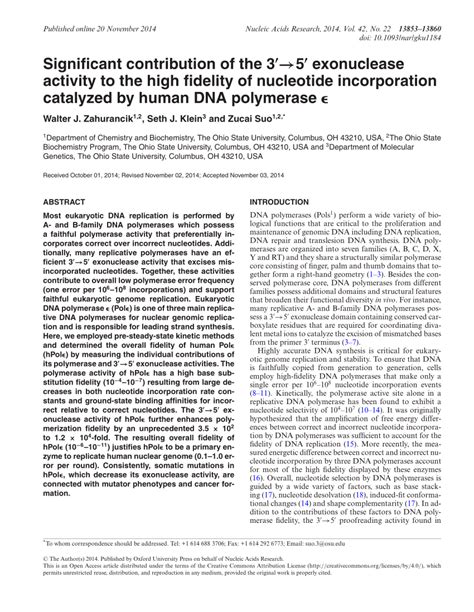 Pdf Significant Contribution Of The 3 5 Exonuclease Activity To