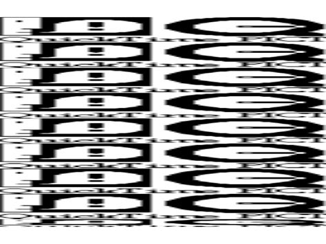 The Life Cycle P Neuroptera Coleoptera Hymenoptera Lepidoptera